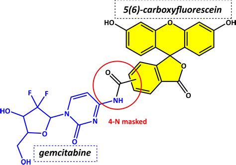 Gemcitabine Structure