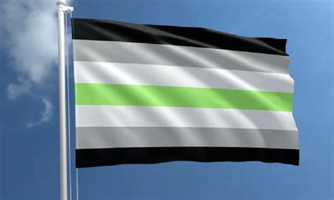 Agender Pride Flag And Agender Flag Meaning