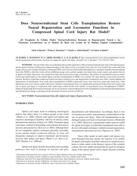Pdf Does Neuroectodermal Stem Cells Transplantation Restore Neural Regeneration And Locomotor
