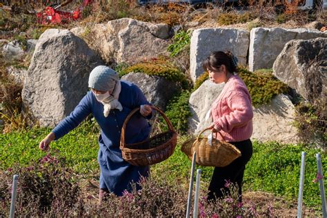 1박2일 오감치유 프로그램 힐데루시 자연치유 농장