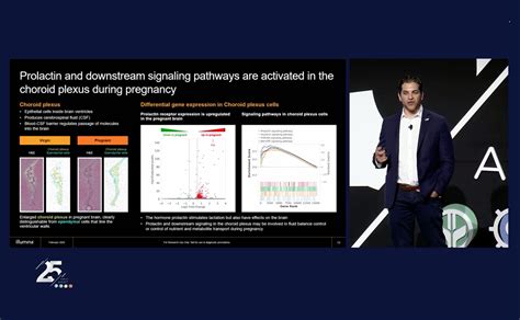 Spatial Transcriptomics Technology High Resolution In Single Cells