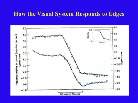 Ppt Two Views Of Perception Bottom Up Processing Low Level Feature Driven Top Down