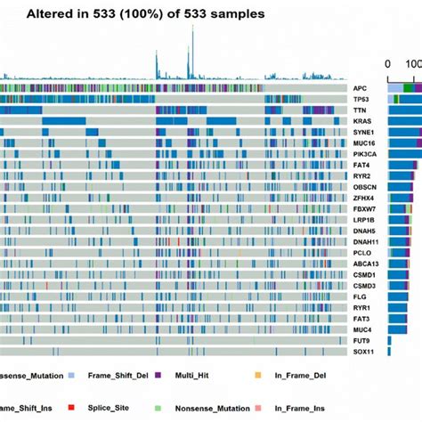 Genomic Landscape Of Crc And Gene Set Enrichment Analysis Of Crc