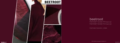Glory Pantone Beet Red 698c
