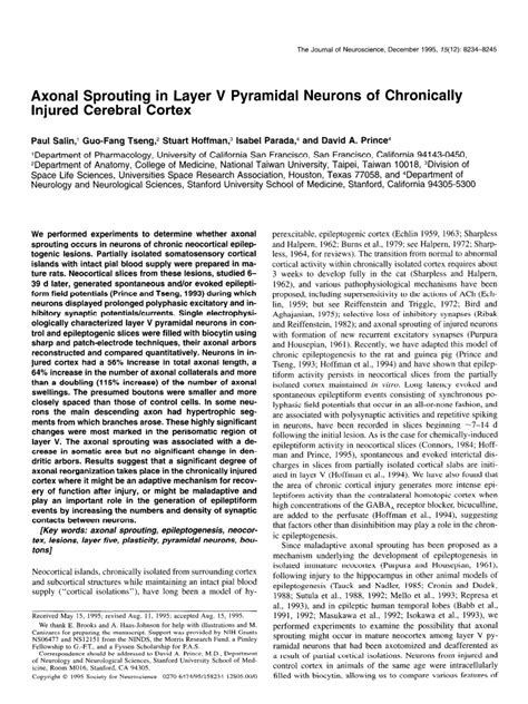 Pdf Axonal Sprouting In Layer V Pyramidal Neurons Of Chronically