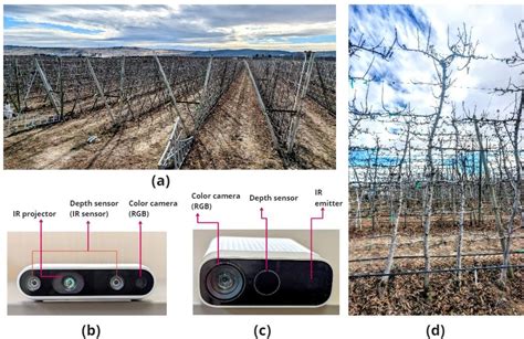 Figure 1 From Machine Vision Based Crop Load Estimation Using Yolov8 Semantic Scholar