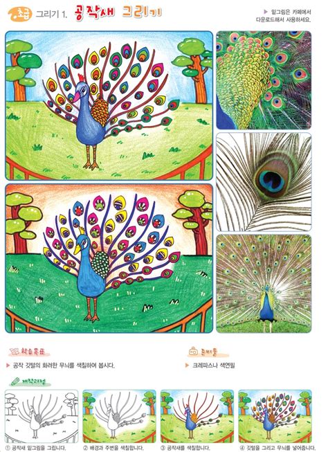 즐거운미술생각 공작새그리기