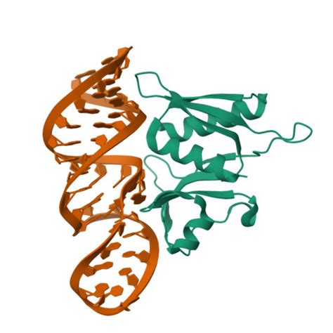 Rcsb Pdb 4pdb Crystal Structure Of Bacillus Anthracis Ribosomal