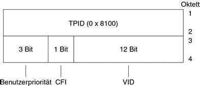 Diagram Shows Format Ethernet Header World