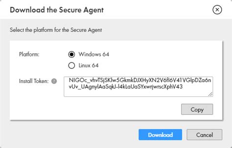 Step 1 Download And Install The Secure Agent