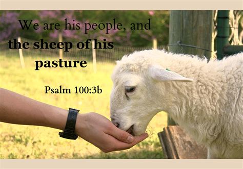 Featured Creative Scripture Designs Lenspiration