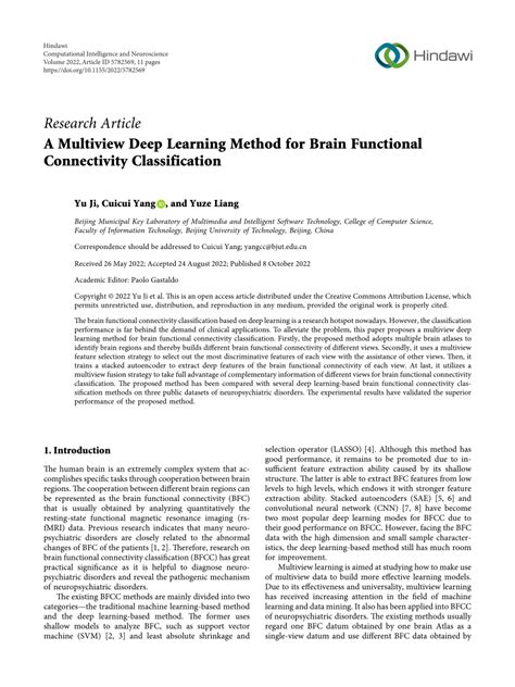PDF A Multiview Deep Learning Method For Brain Functional