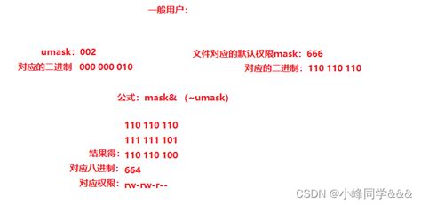 【linux】shell命令以及运行原理和linux权限详解linux默认shell解释 Csdn博客