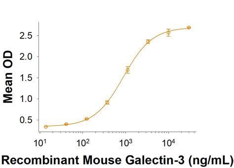 Recombinant Mouse Siglec E Fc Chimera Protein Cf 5806 Sl 050 Randd Systems