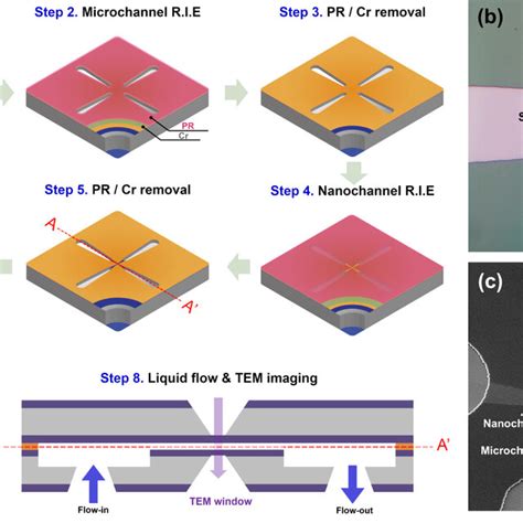 A Schematic Diagram Of Fabrication Process Including Cross Sectional Download Scientific