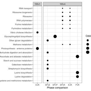 Functional Analysis Functional Pathways That Are Significantly Download Scientific Diagram