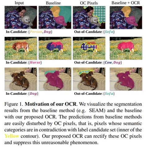 Improve Image Segmentation By Identifying And Relabeling Out Of