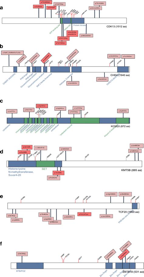 A F Composite Figures Of Genes With Pathogenic Or Likely Pathogenic