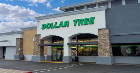 14 Dollar Tree Products That Went Viral On Tiktok And Why Everyones