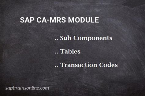 SAP SAP Multiresource Scheduling In CA CA MRS Component Details Tutorials