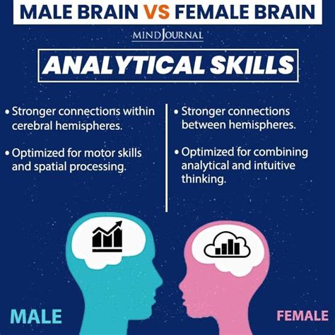 A Male Brain V S A Female Brain 13 Interesting Differences Artofit