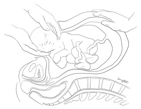 Free Section Cliparts Download Free Section Cliparts Png Images Free ClipArts On Clipart Library