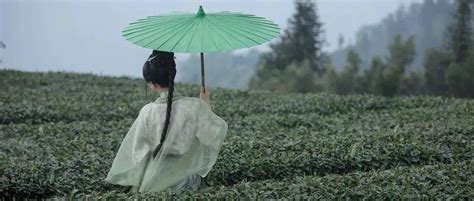 细说蒙山茶史 从荼到茶秦汉以前的四川茶叶 巴蜀 草木 益州