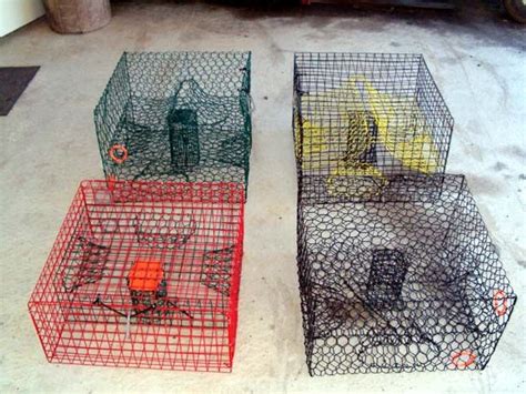 Best Blue Crab Traps Food Crab