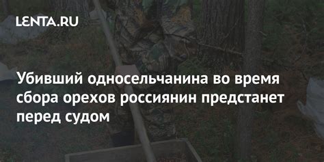 Убивший односельчанина во время сбора орехов россиянин предстанет перед судом Криминал Силовые
