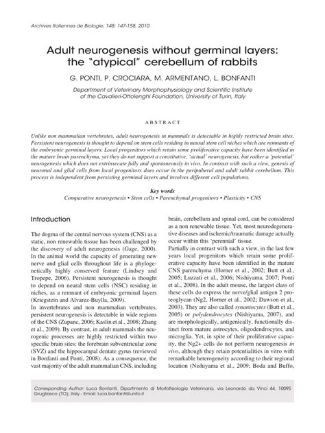 pdf adult neurogenesis without germinal layers the atypical