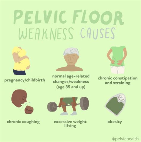 Qanda Pelvic Floor Weakness Causes