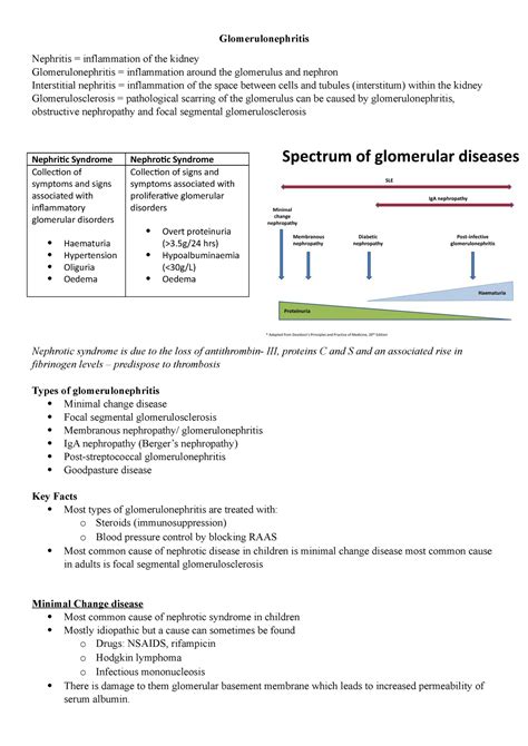 Glomerulonephritis Summary Of The Condition With Differentials Investigations And Management
