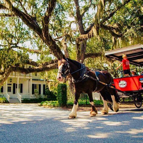 Sea Island Carriage Company All You Should Know Before You Go 2026 W