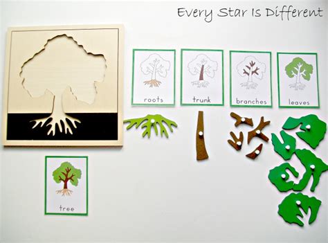 Tree Activities For Tots Prebabeers W Free Printables Every Star Is Different