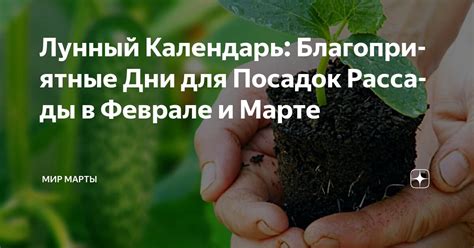 Лунный Календарь Благоприятные Дни для Посадок Рассады в Феврале и Марте Мир Марты Дзен