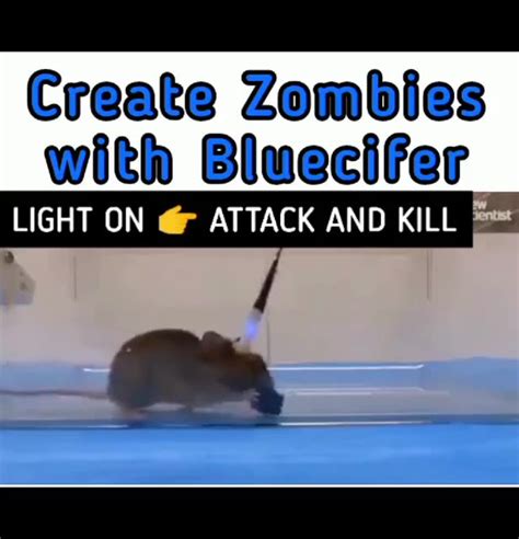 Bluecifer Zombie Warning