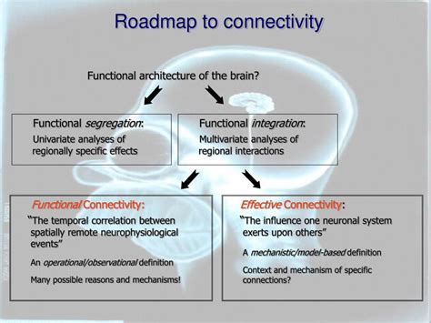 Ppt Measuring Functional Integration Connectivity Analyses Powerpoint Presentation Id3406007