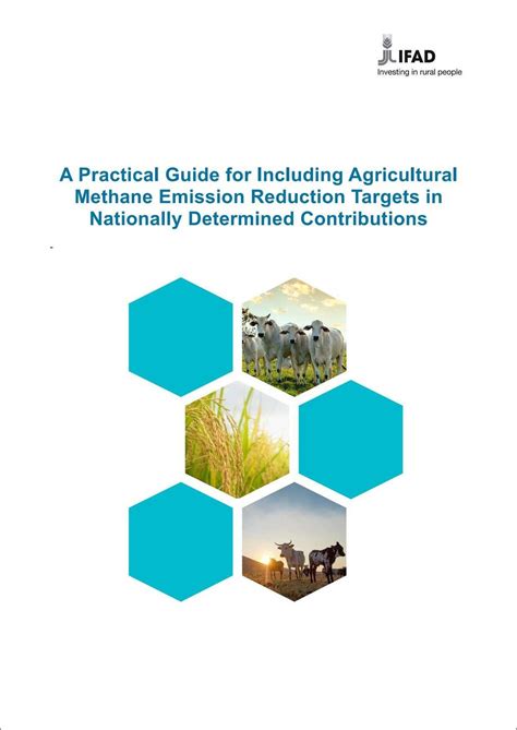 Agricultural Methane Emission Reduction