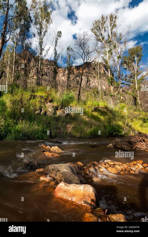 A Waterfall With Trees On The Side Of A River Stock Photo Alamy
