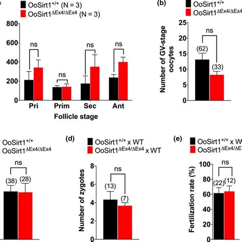 Oocyte Numbers In Vivo Maturation And Fertilization In Aged Females