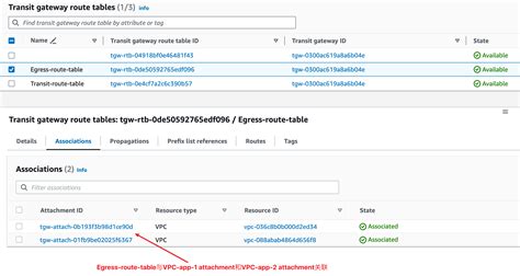 利用 Transit Gateway 和 Gateway Load Balancer 实现东西及南北流量的集中检测 亚马逊aws官方博客