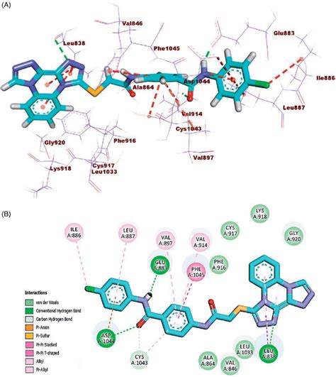 A 3d Binding Mode Of Compound 23i Into Vegfr 2 B 2d Binding Mode