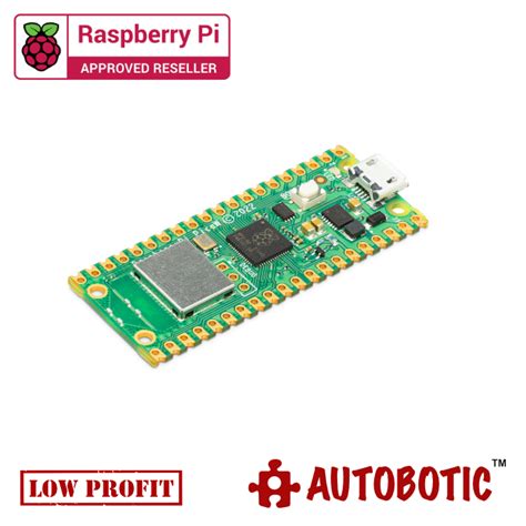 Raspberry Pi Pico W