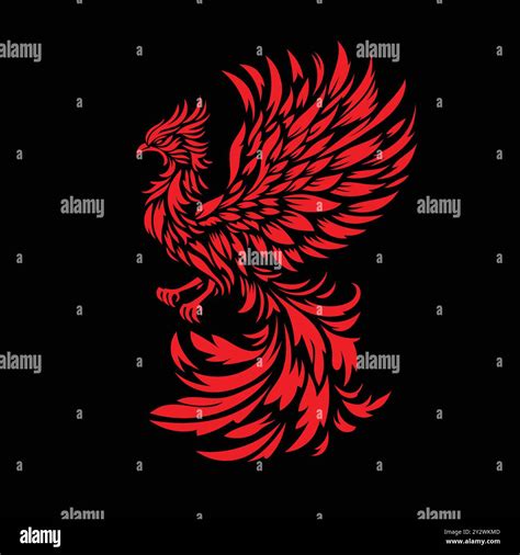 Phoenix Fire Bird Illustration And Character Design Hand Drawn Legend
