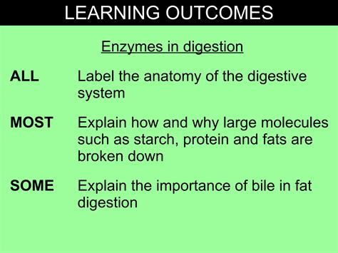 Gcse Biology Enzymes In Digestion Ppt