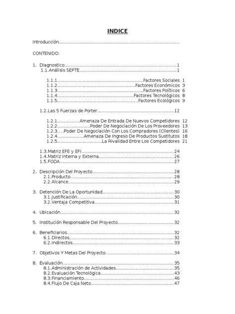 Indice De Proyecto Pdf