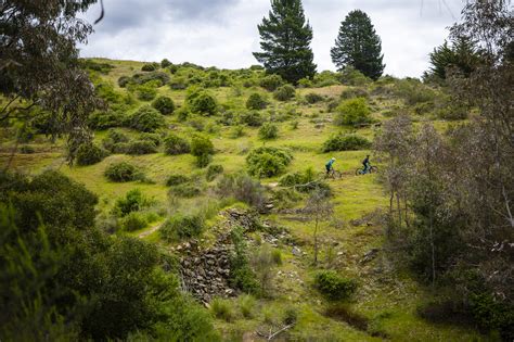 Goldfields Track Vic Flow Mountain Bike Goldfields Track Vic Flow Mountain Bike