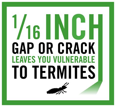 Authorized Operator Of The Sentricon® Termite Baiting System Twin Boro