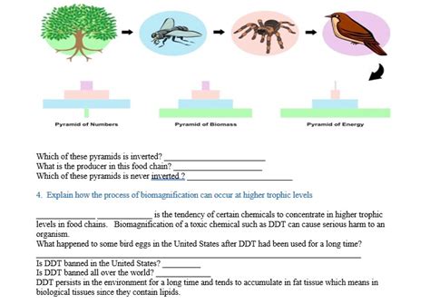 Solved Npp Gpp R Net Primary Production