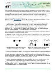 SingleGeneDisorder BabeHO Act Pdf Inheritance And Mutations In A Single Gene Disorder